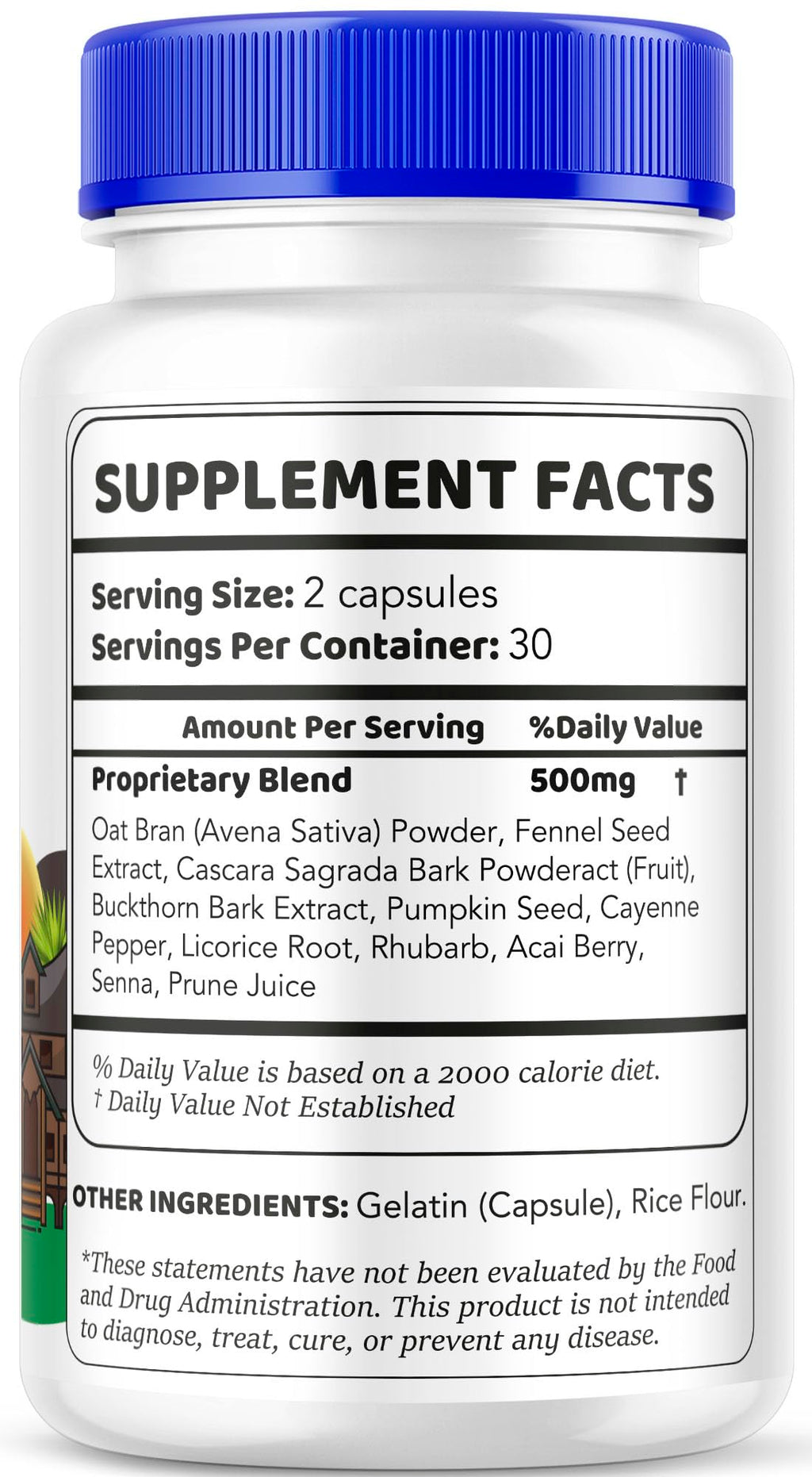 promote a healthy lifestyle daily