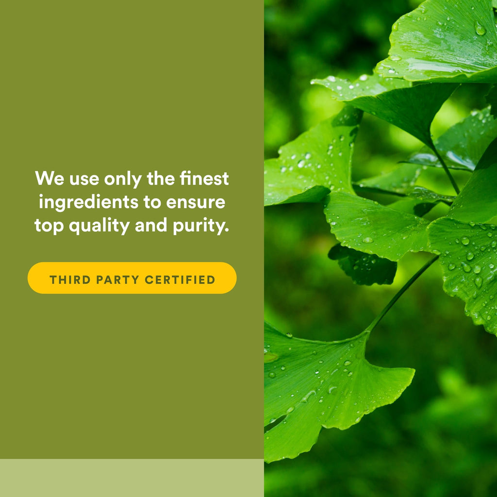 promote blood flow ginkgo biloba
