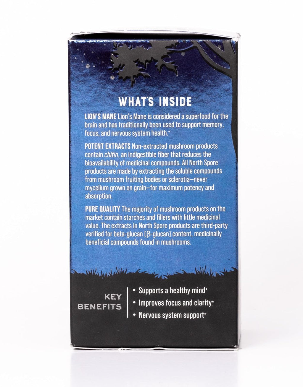 Promote brain health with Lion's Mane