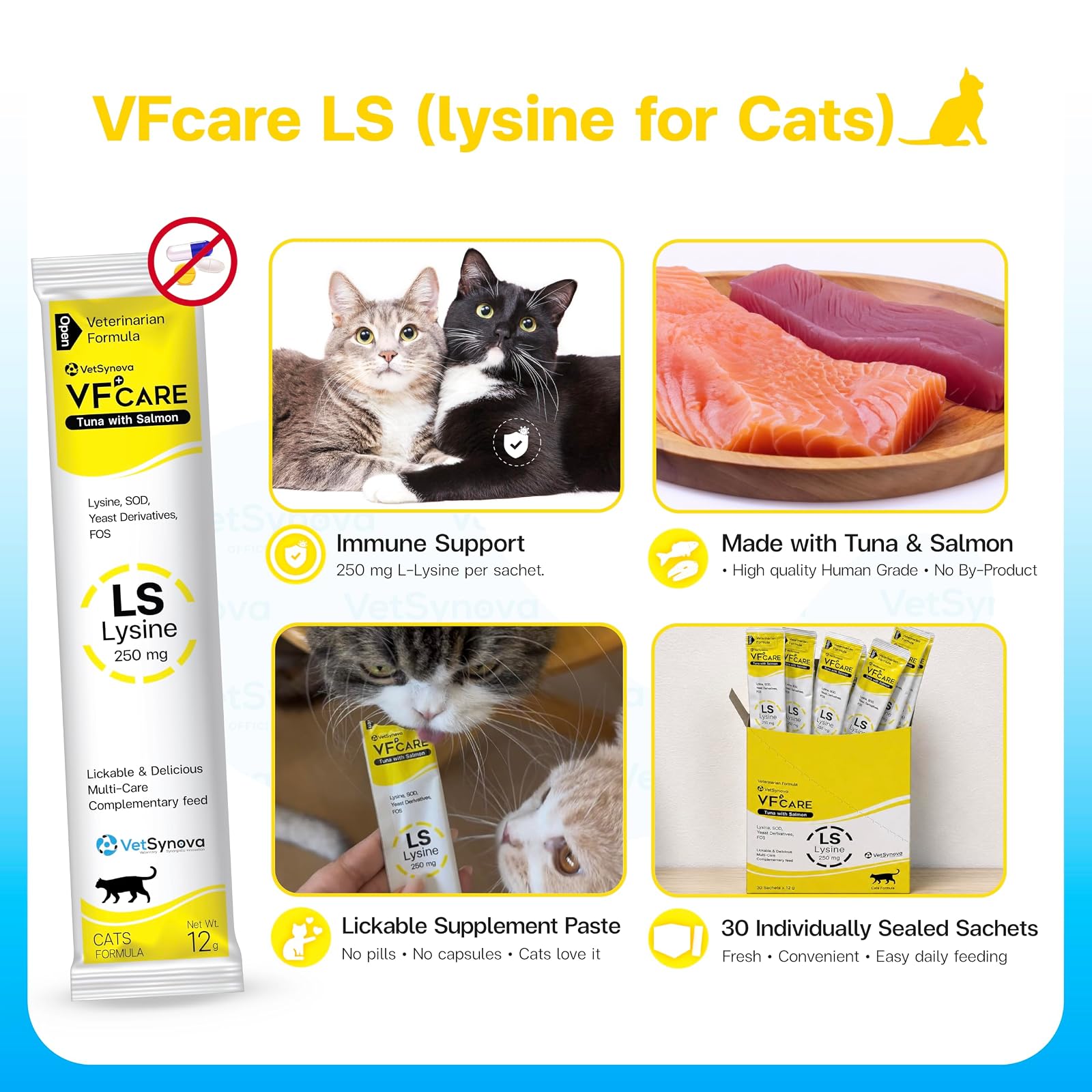 Promote cat health with L-lysine