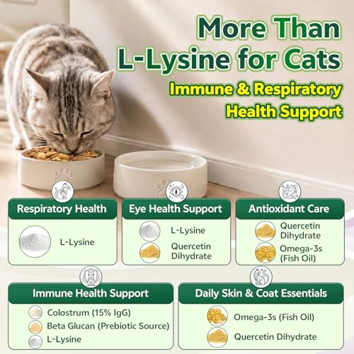 Promote cat health with Lysine