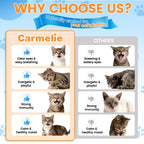 Promote cat wellness with L-Lysine
