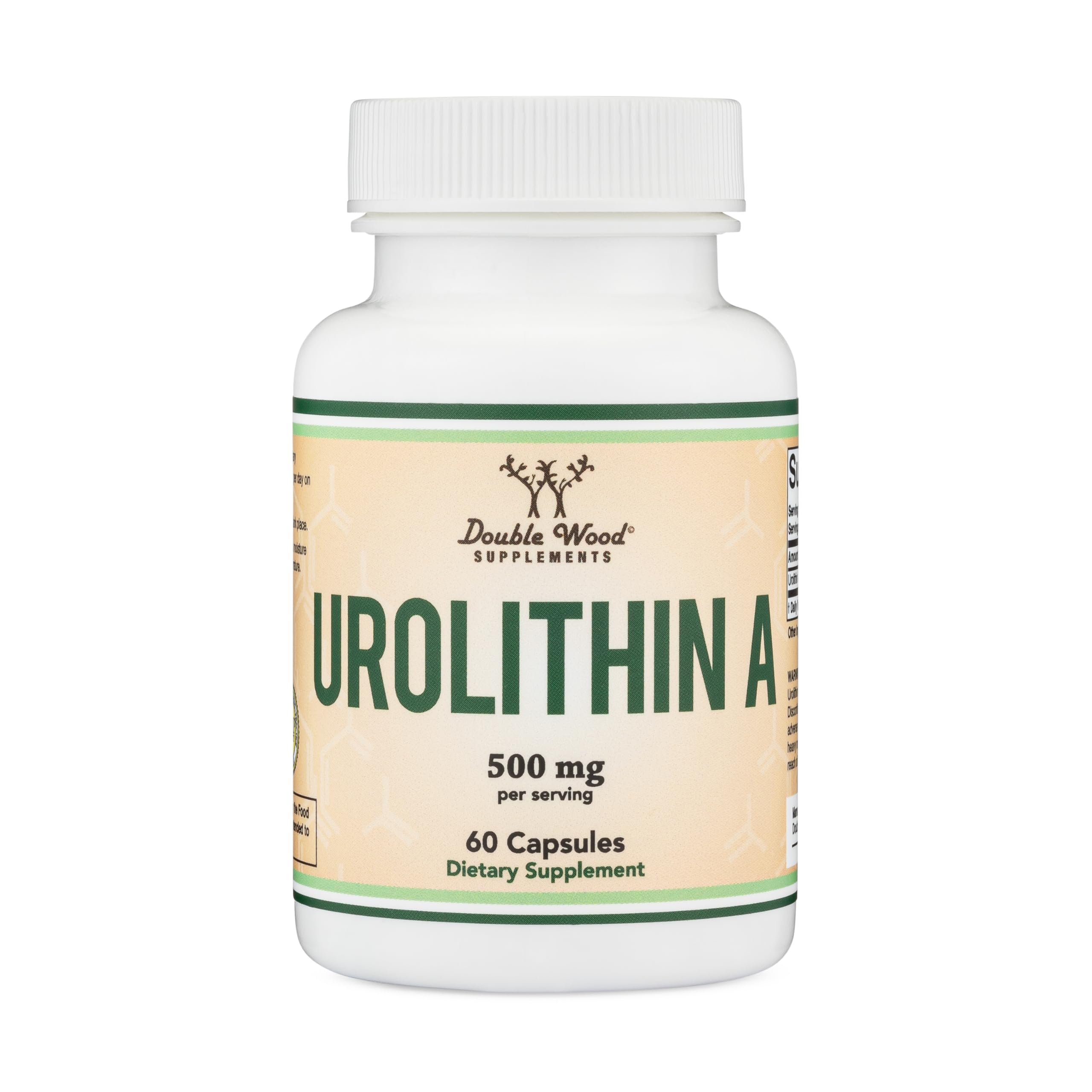 Promote cellular health with urolithin A