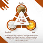 promote cognitive function choline