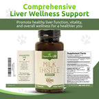 Promote digestive health capsules