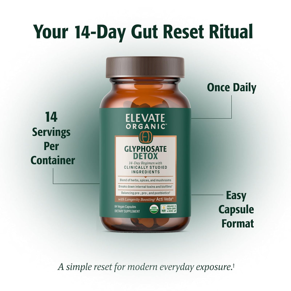 Promote digestive wellness capsules