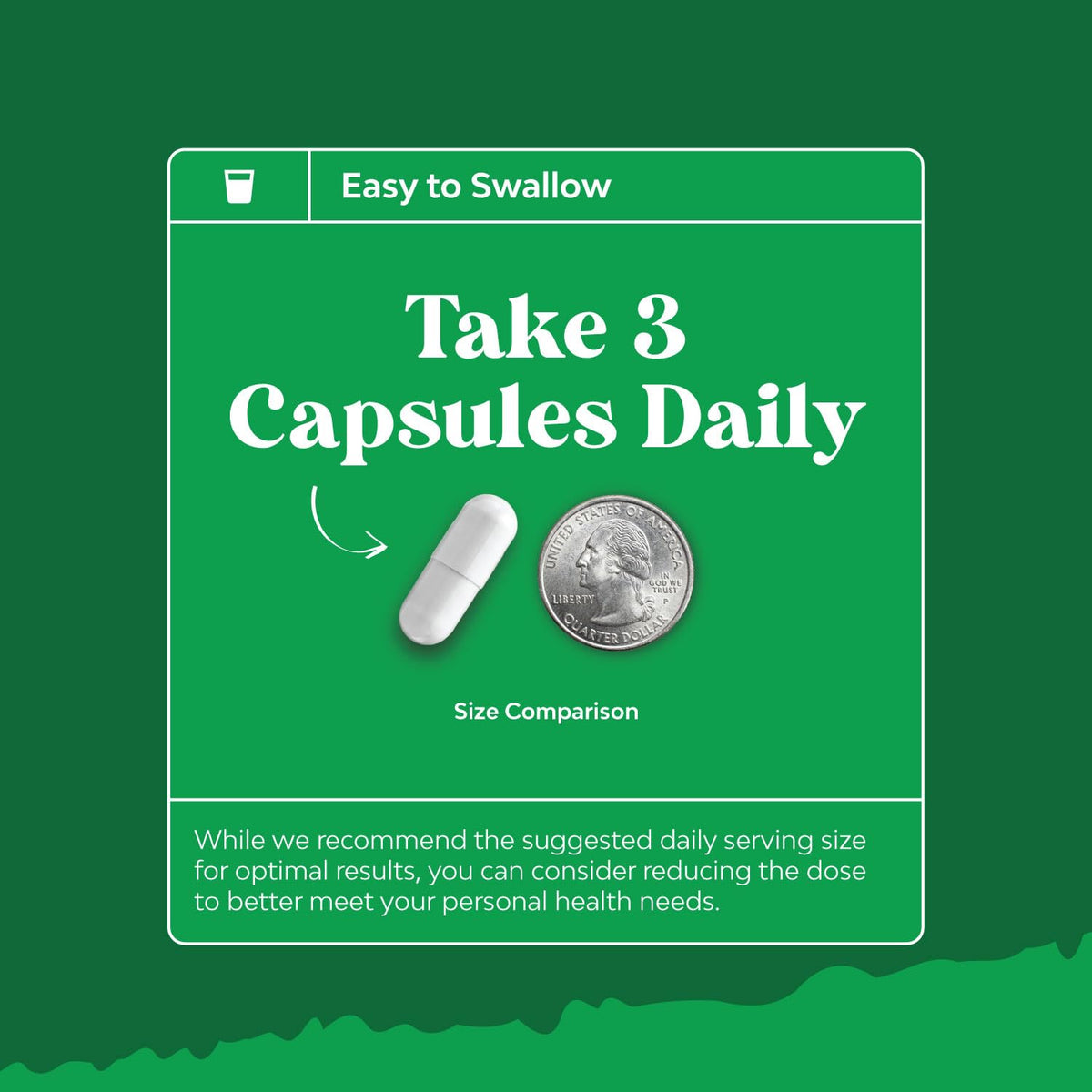 promote digestive wellness with enzymes