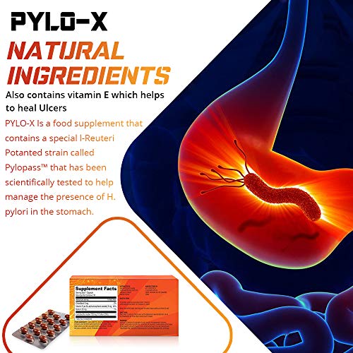 Promote digestive wellness with PYLO