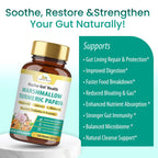 Promote digestive wellness with turmeric
