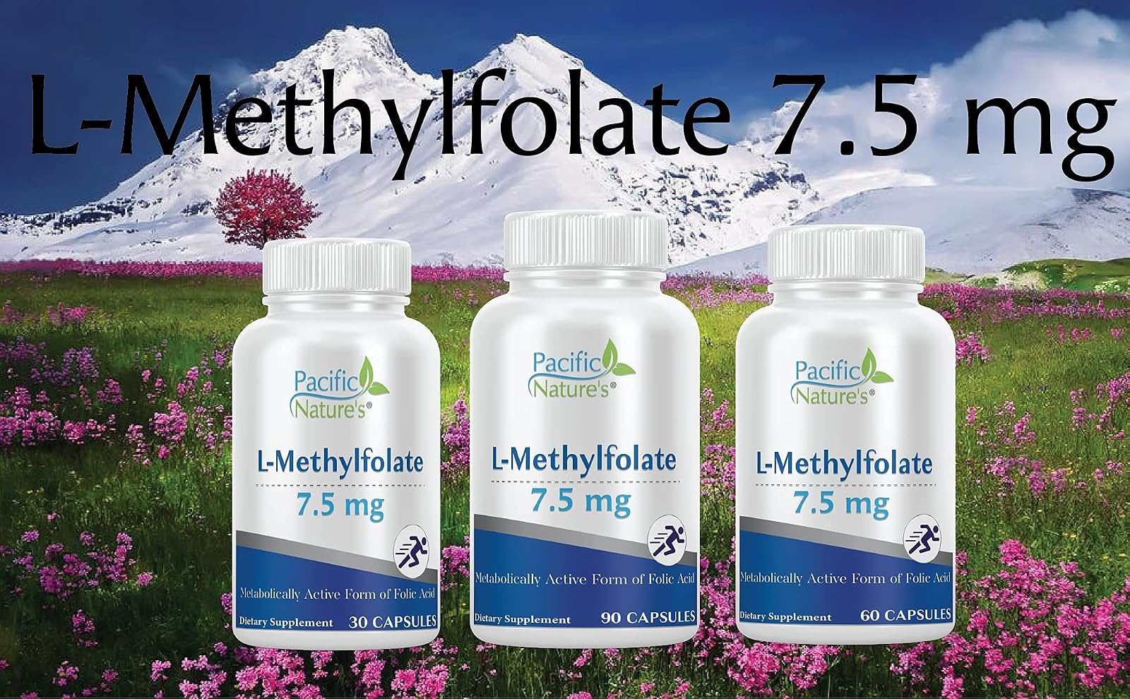 Promote energy with L-Methylfolate