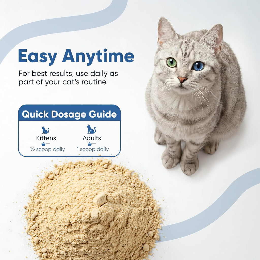 Promote eye health with L-Lysine powder