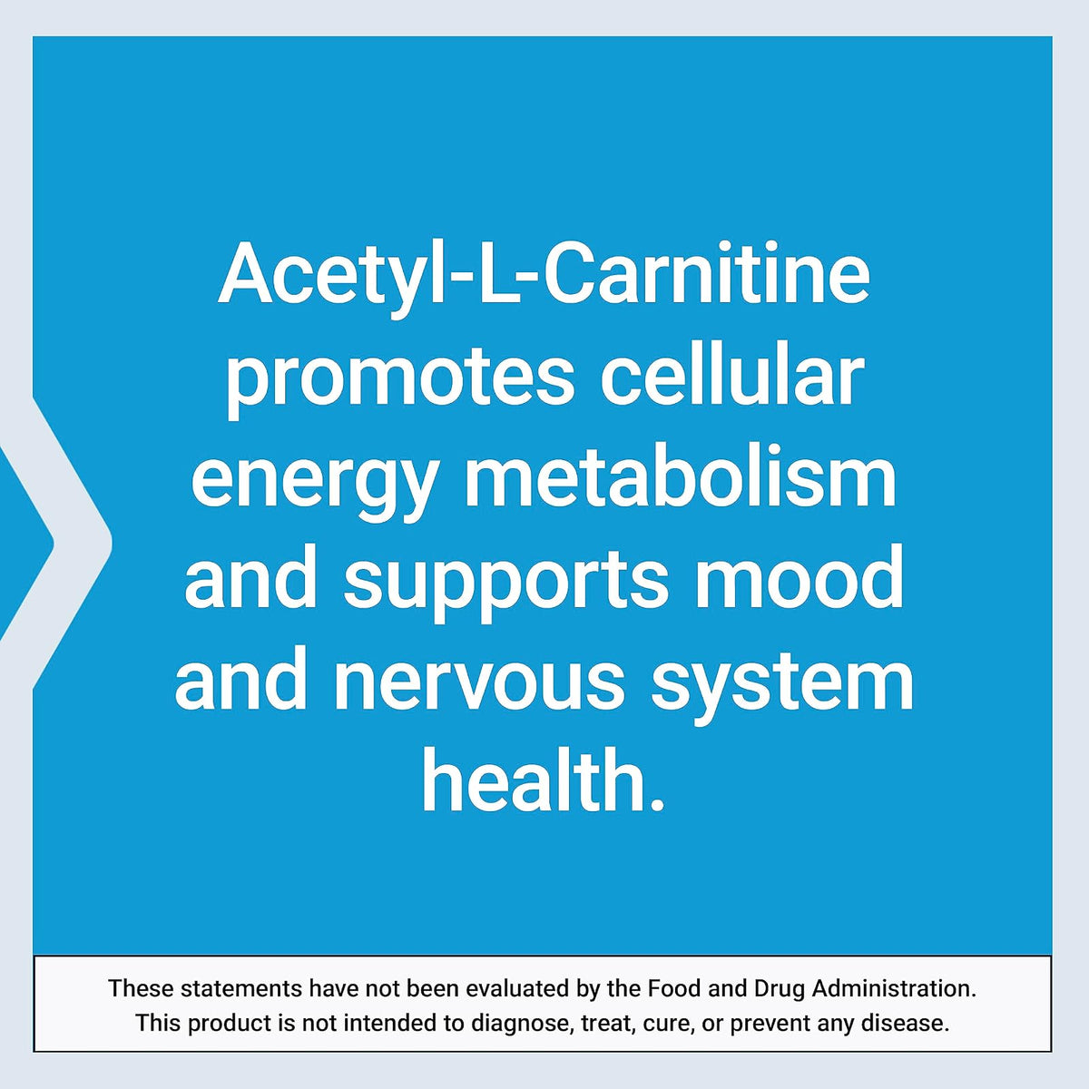 promote fat metabolism l-carnitine