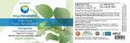 promote healthy aging with antioxidants