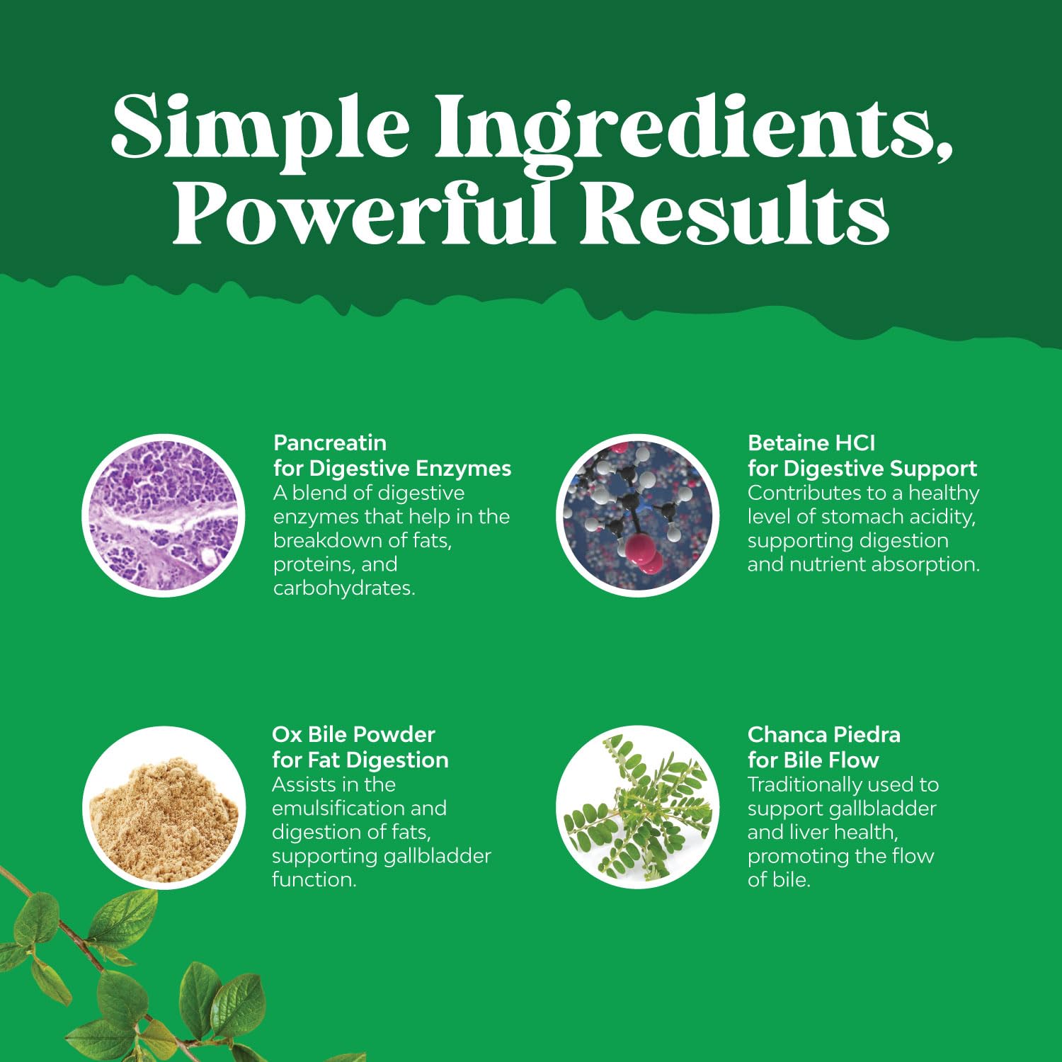 promote healthy bile production naturally