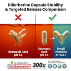 promote healthy blood sugar levels