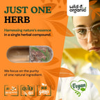 promote healthy circulation Pine Bark