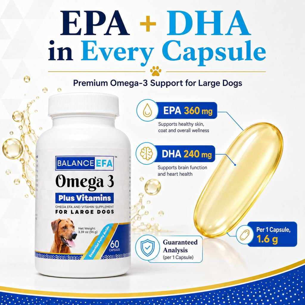 promote healthy coat with fish oil