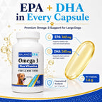 promote healthy coat with fish oil