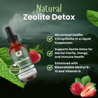 promote healthy detoxification