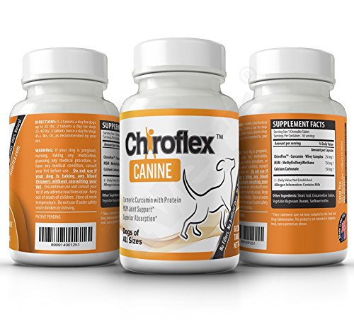 promote healthy digestion in dogs