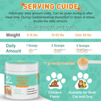 Promote healthy digestion in pets