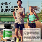 Promote healthy digestion with Zinc