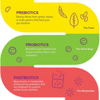 promote healthy gut flora naturally