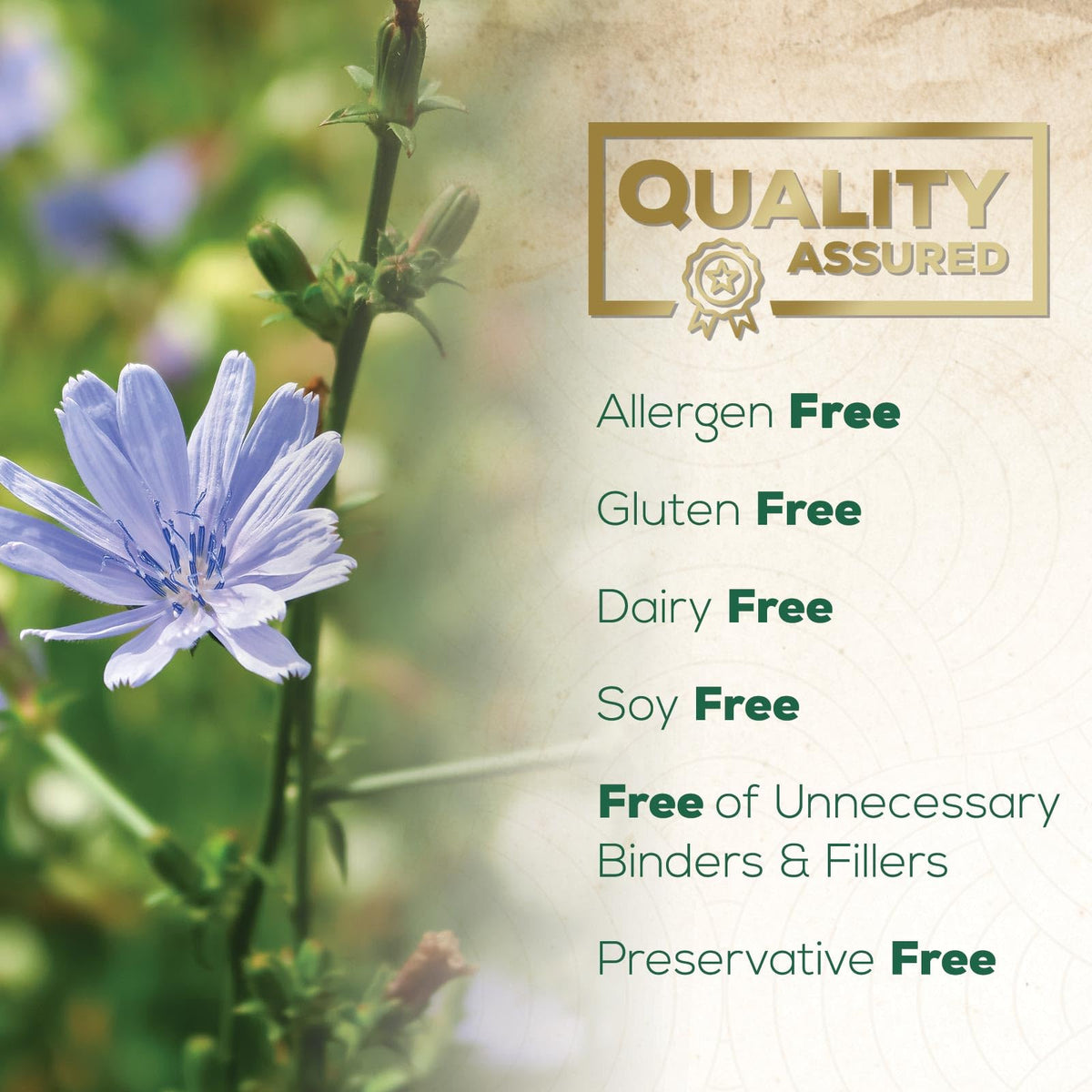 promote healthy gut flora