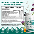 promote healthy lymphatic function