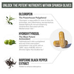 promote heart health olive leaf