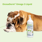 promote joint health in pets