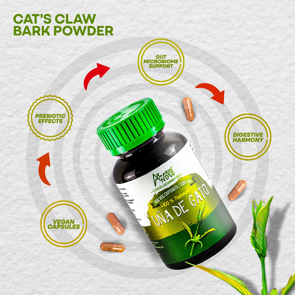 promote joint health with Cat's Claw