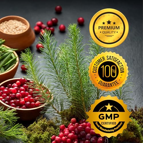 promote kidney function with herbs