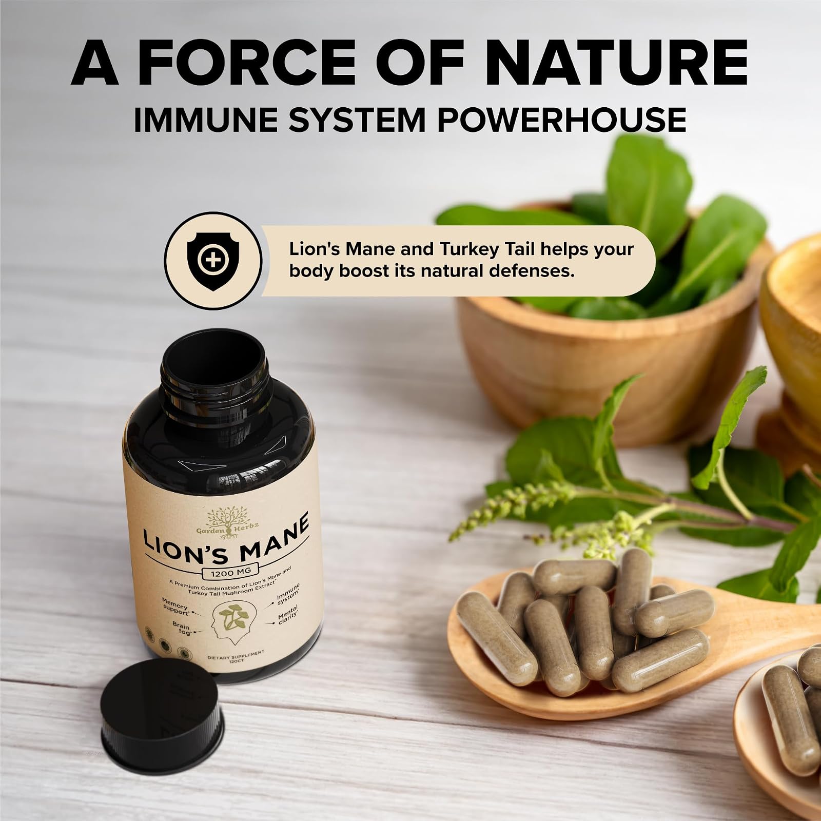 promote memory using lion's mane