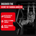 promote muscle growth and recovery