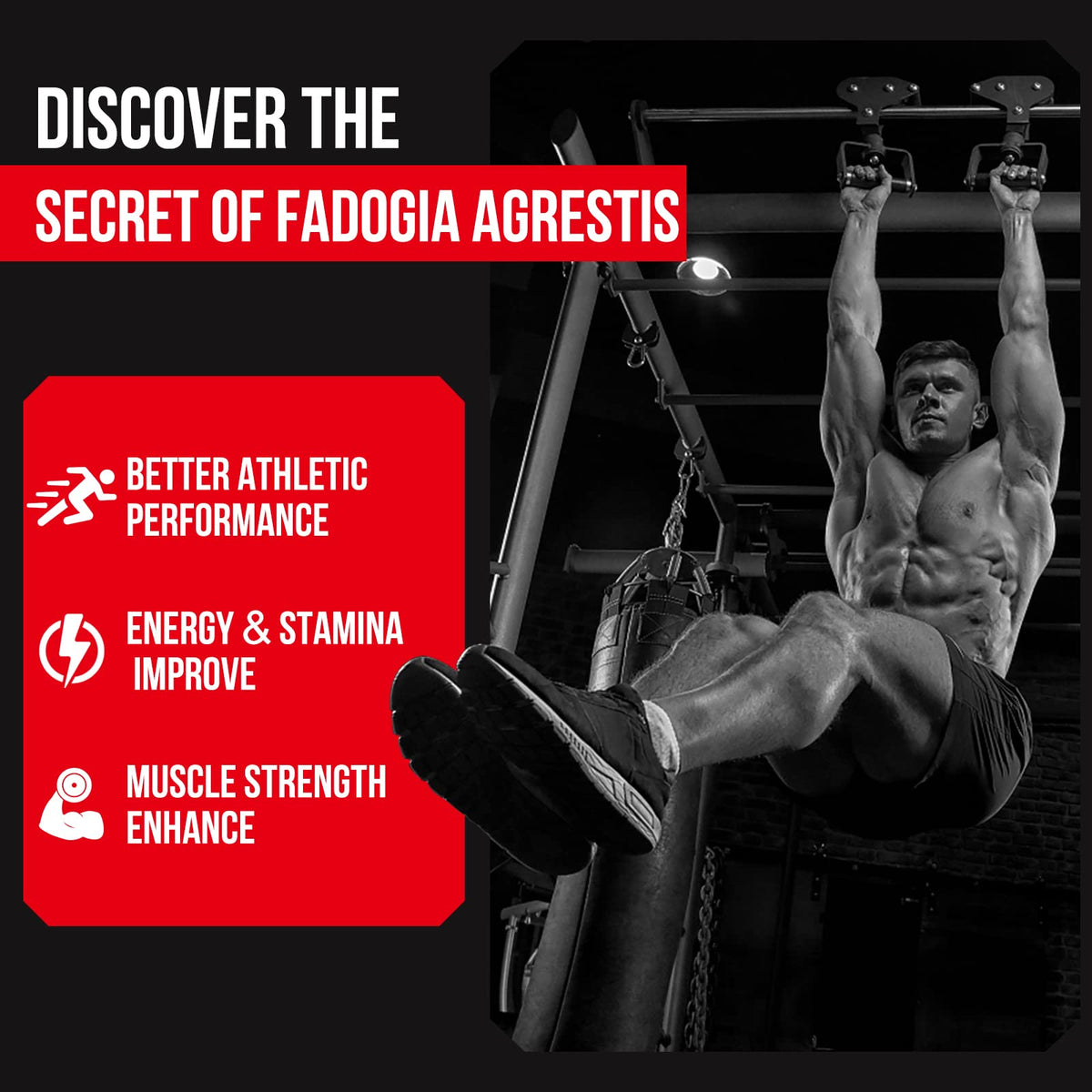 promote muscle growth and recovery