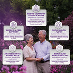 Promote nerve health with capsules