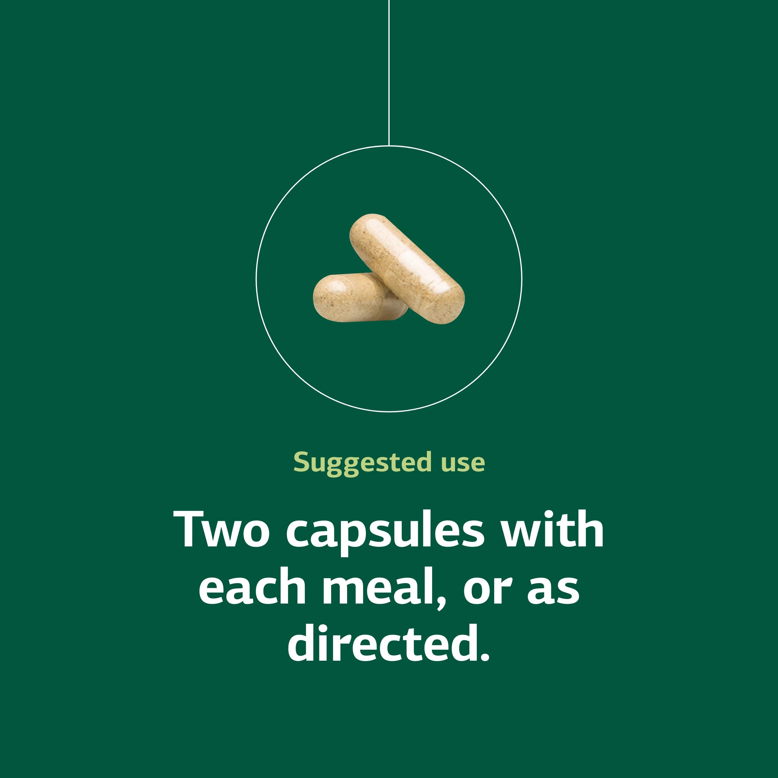 promote overall gut health