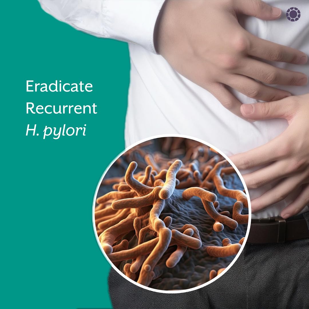 promote overall health with H.Pylori probiotics