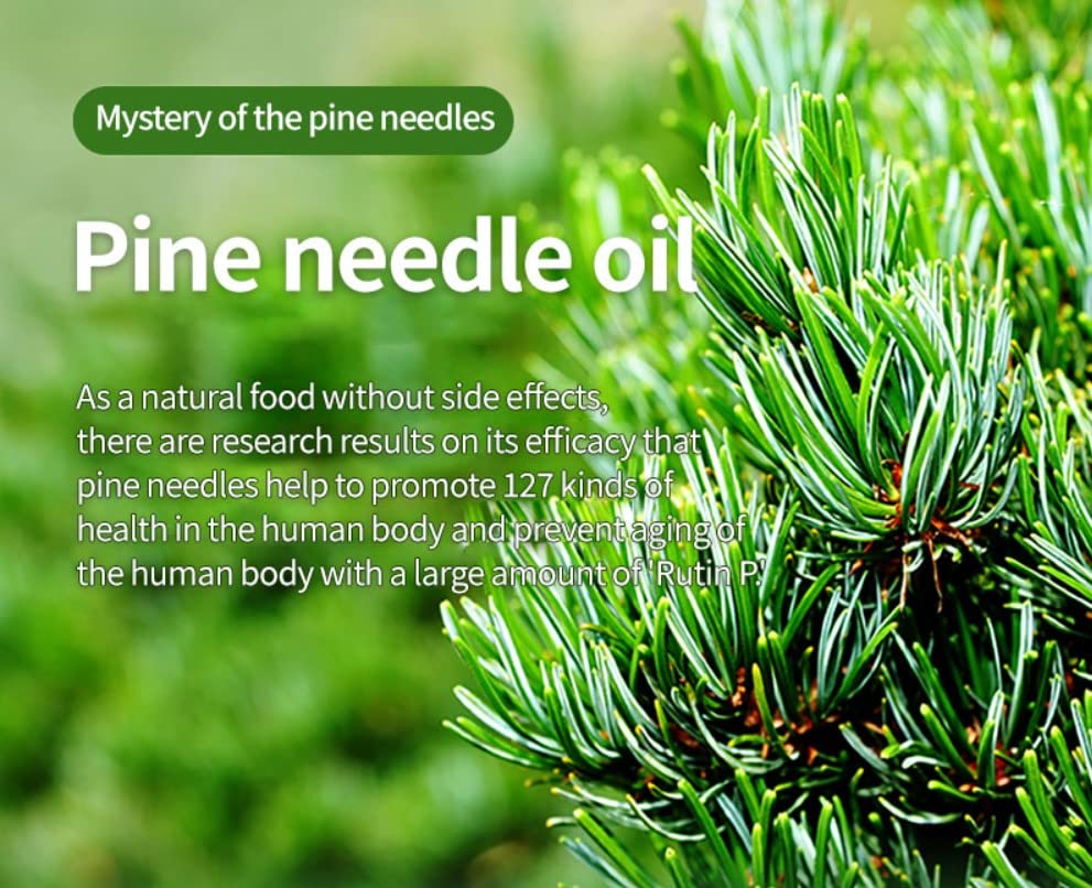 promote overall health with pine needle oil