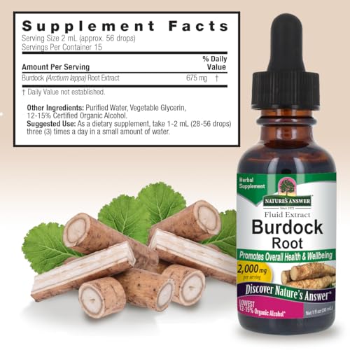 Promote overall well-being with Burdock