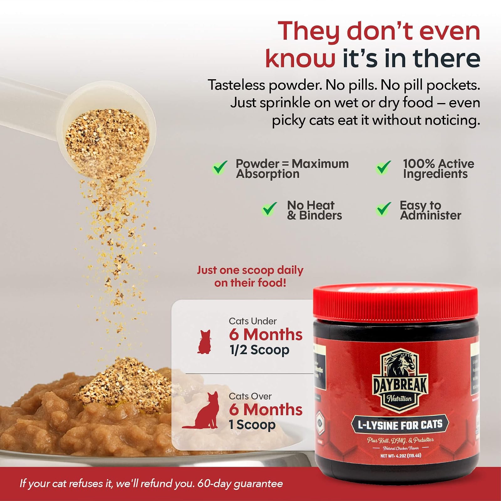 Promote overall wellness in cats