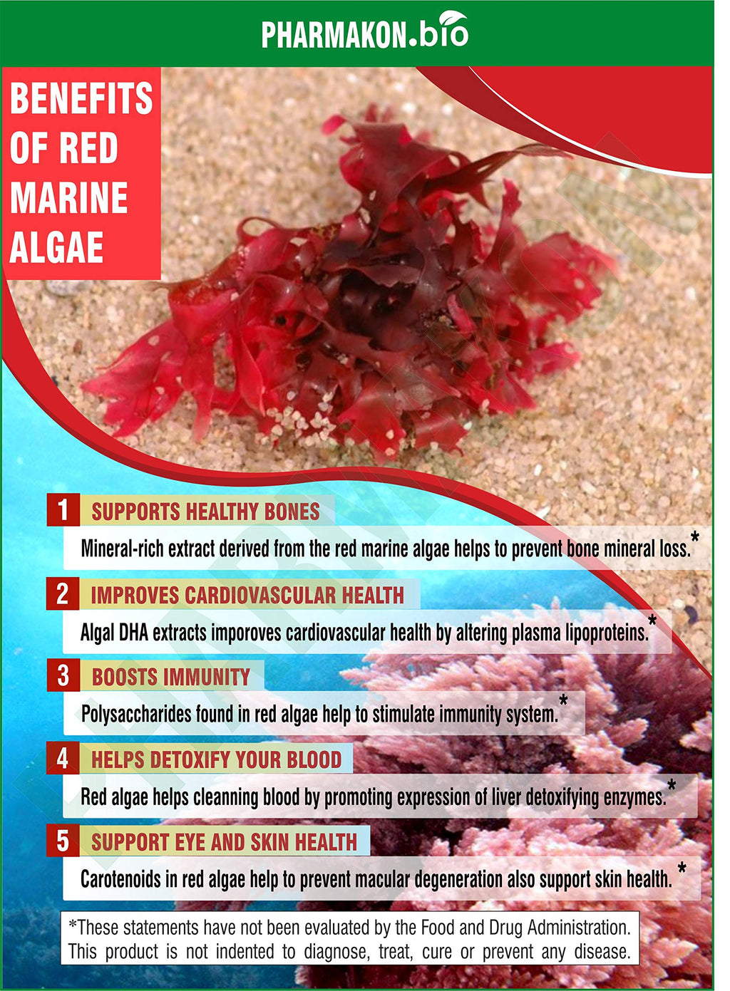 promote overall wellness with algae