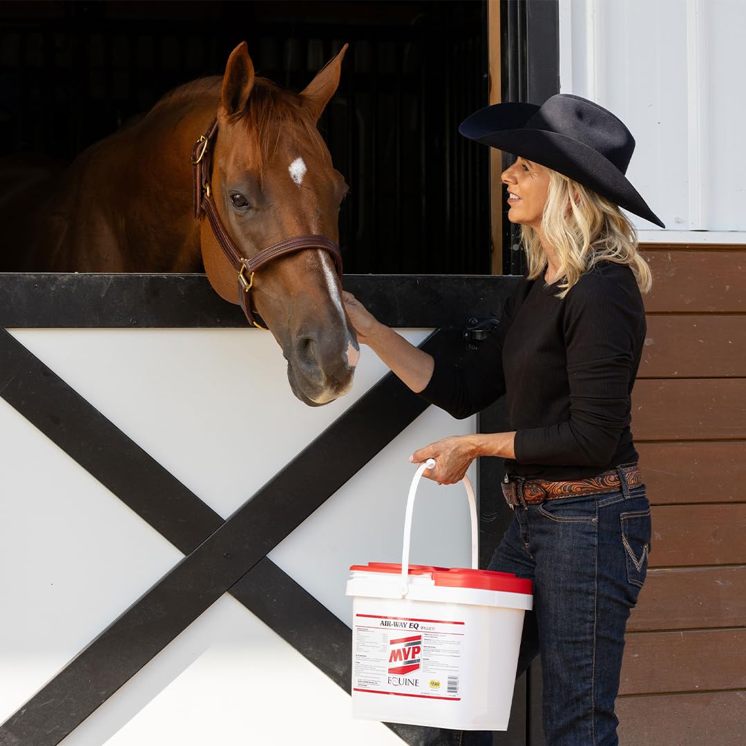 promote respiratory health in horses