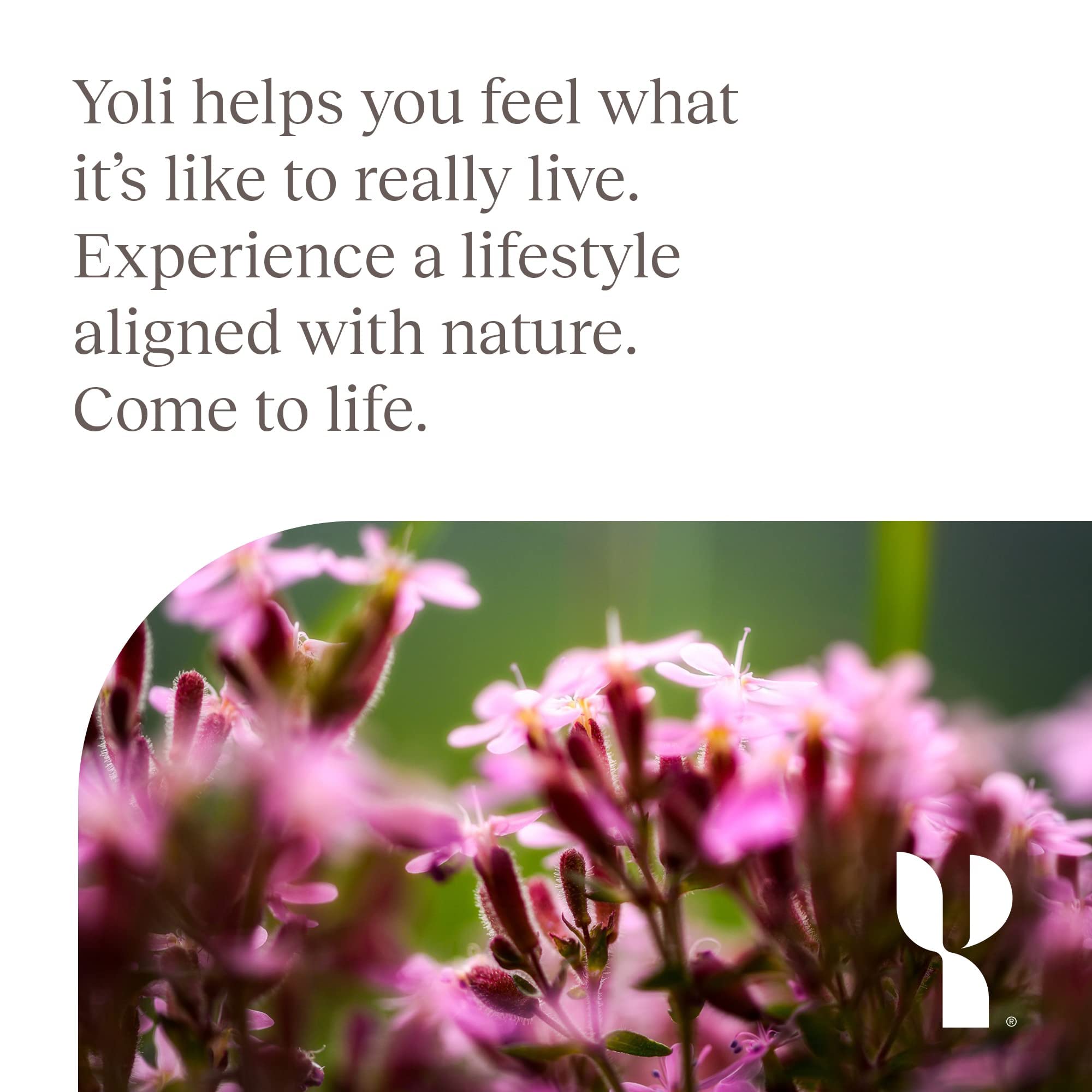 promote restful sleep with Yoli Dream