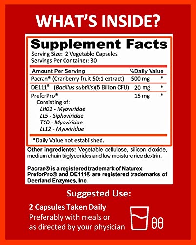promote urinary health with probiotics