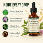 promote wellness with herbal drops