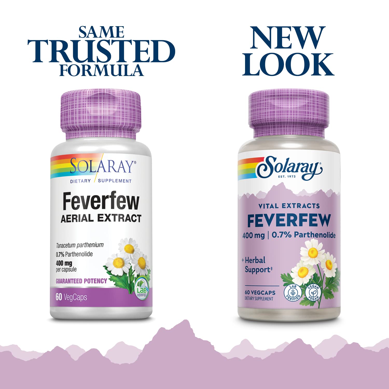 Promotes blood vessel health