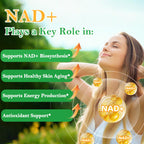 Promotes healthy aging with NAD