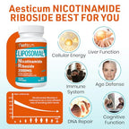 Promotes healthy aging with nicotinamide